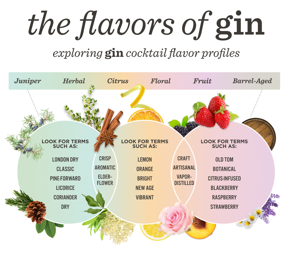 Gin Cocktails: Recipes Exploring Gin's Versatile Flavors