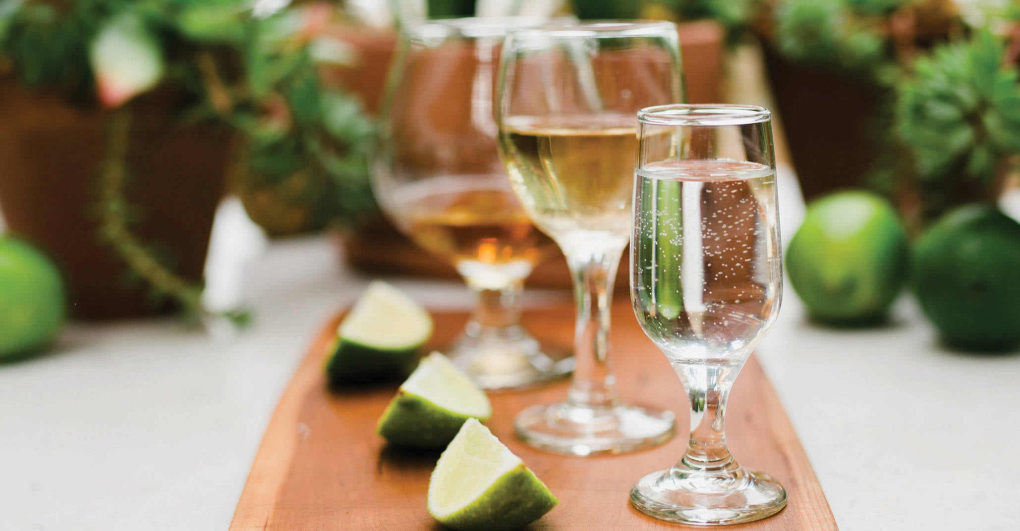 Shop Tequila - Find Brands & Tequila Types In Stock At OHLQ Locations