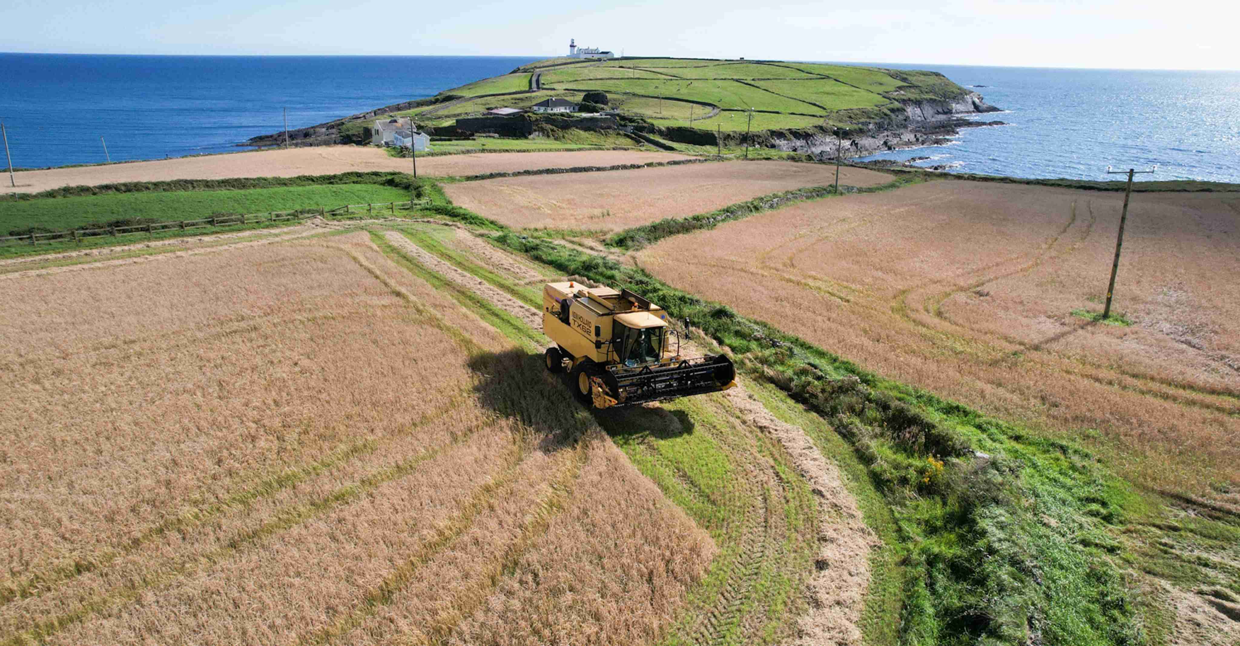 Irish Distilling & Environmental Sustainability | OHLQ