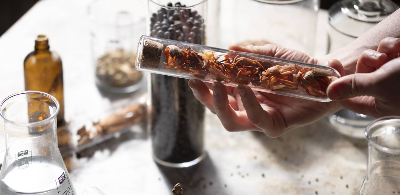 Making Gin in Ireland - Irish Gin & Botanicals | OHLQ