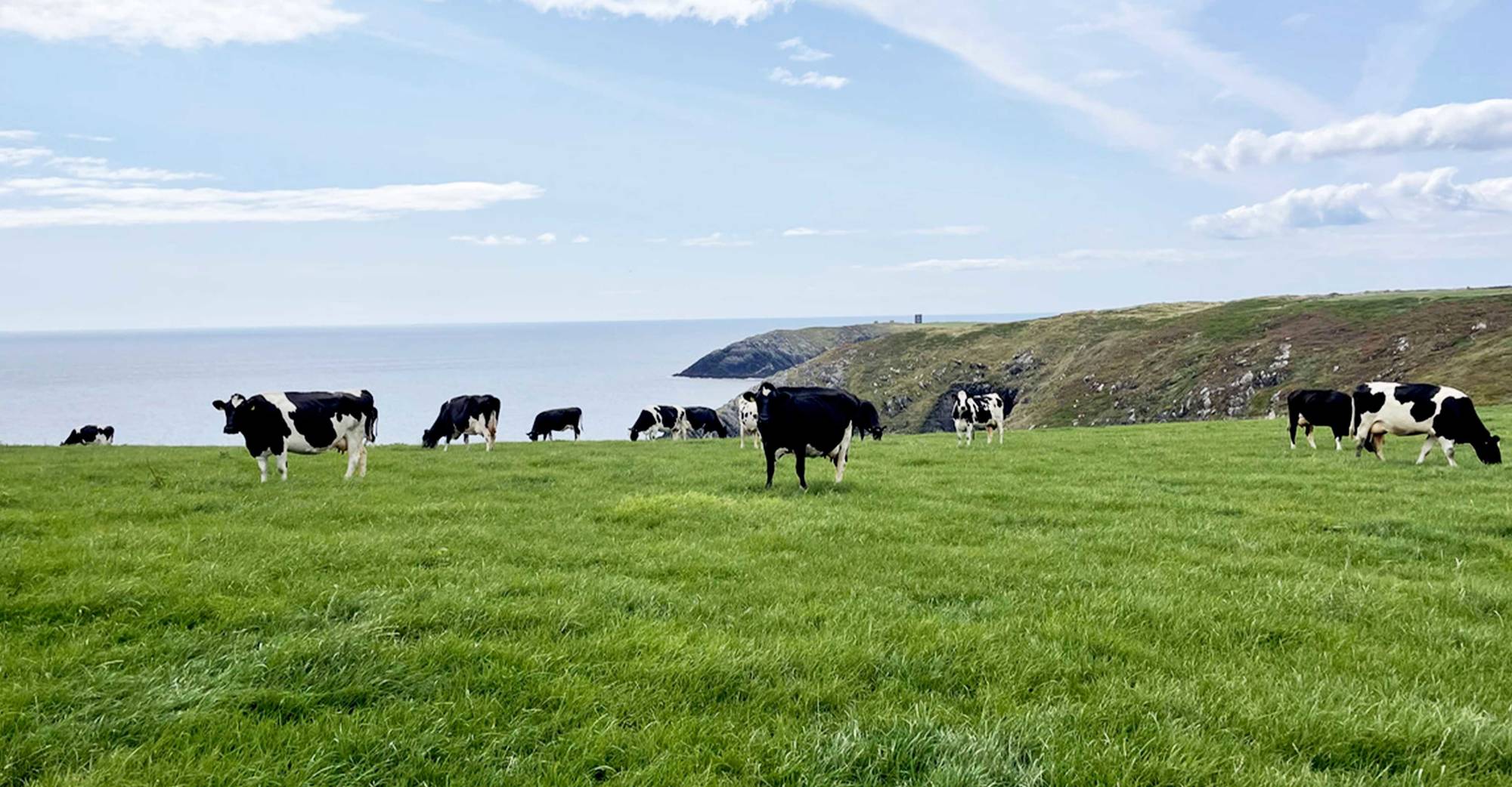 Seed to Sip: Agriculture, Art & Science of Spirits | OHLQ.com