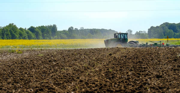 Seed to Sip: Coming Full Circle | OHLQ