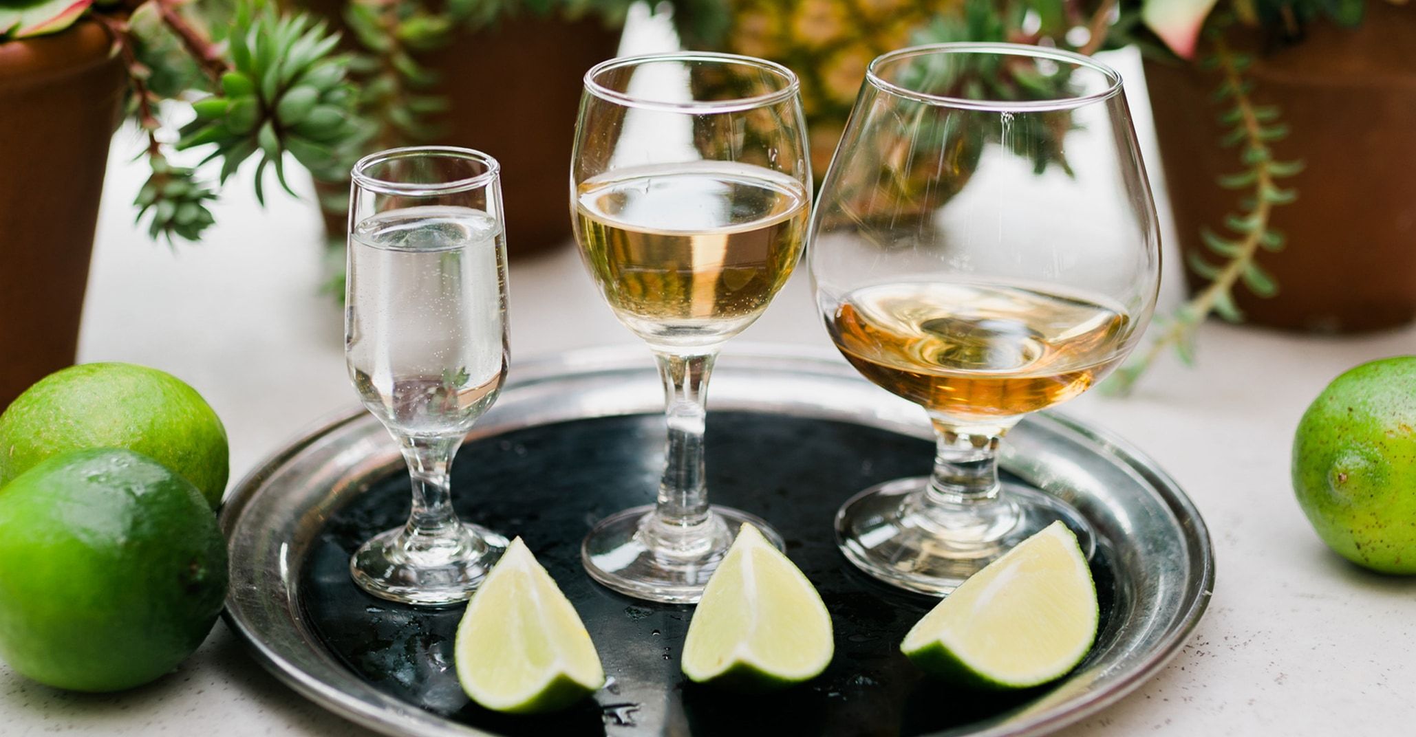Differences Between Tequilas - Reposado vs Anejo vs Blanco | OHLQ