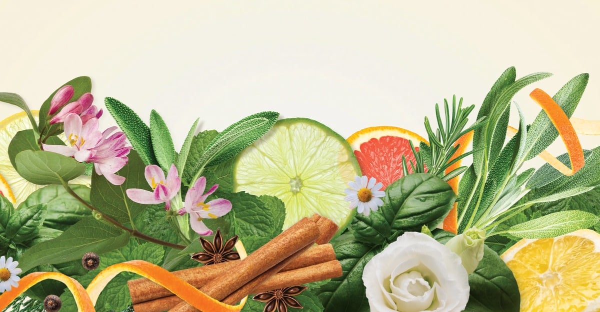Ohio Liquor Gintopia Tasting & Cocktail Event | Hudson