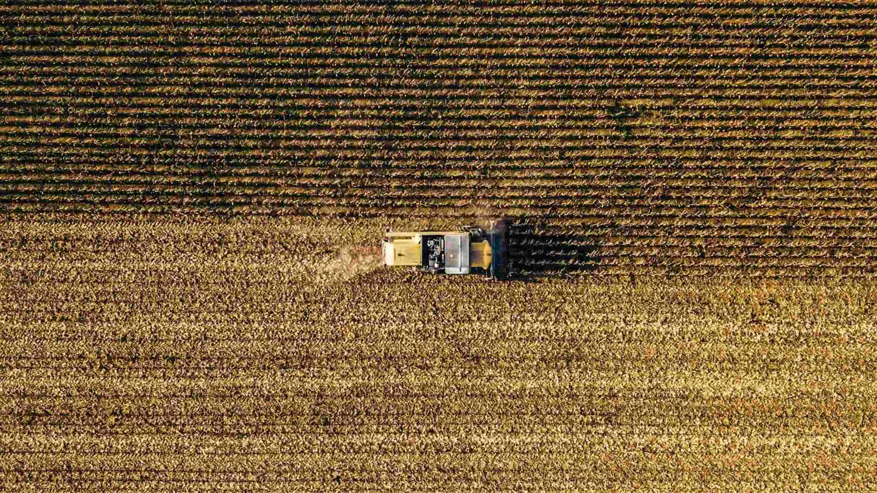 Ohio Distillery Trail Opens - Ohio Distillers Guild | OHLQ