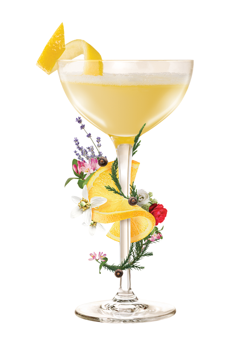 Gin Finder: Take Our Quiz for the Perfect Gin & Cocktail Recipes