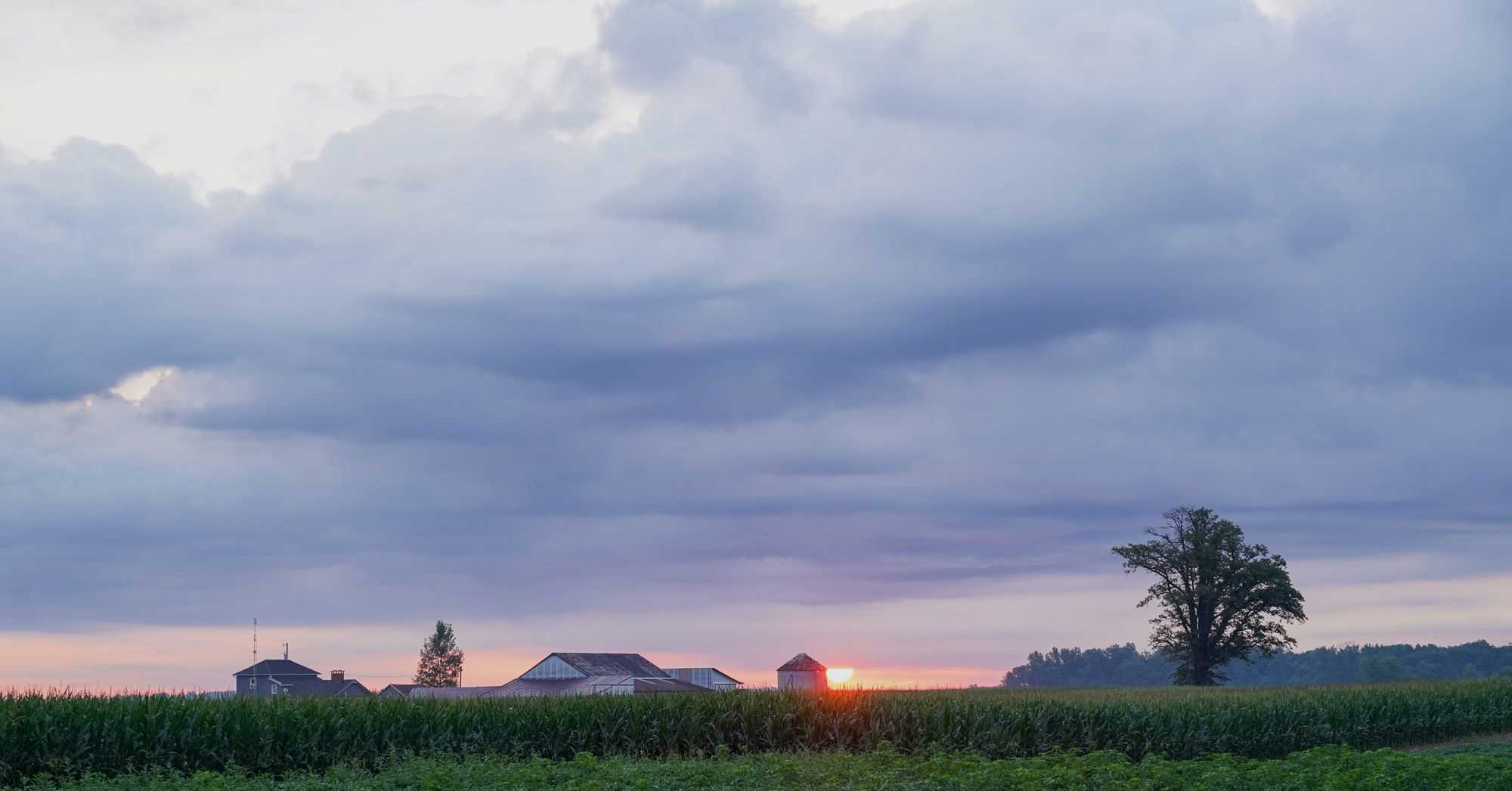 Seed to Sip: Agriculture, Art & Science of Spirits | OHLQ.com